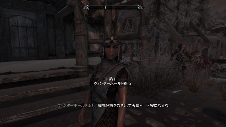 Diverse Hold Guards Winterhold PS4 - [PS4]Skyrim MOD